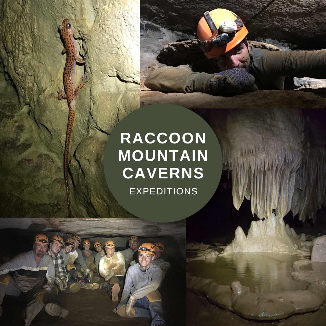 Raccoon Mountain Caverns - Raccoon Mountain Caverns